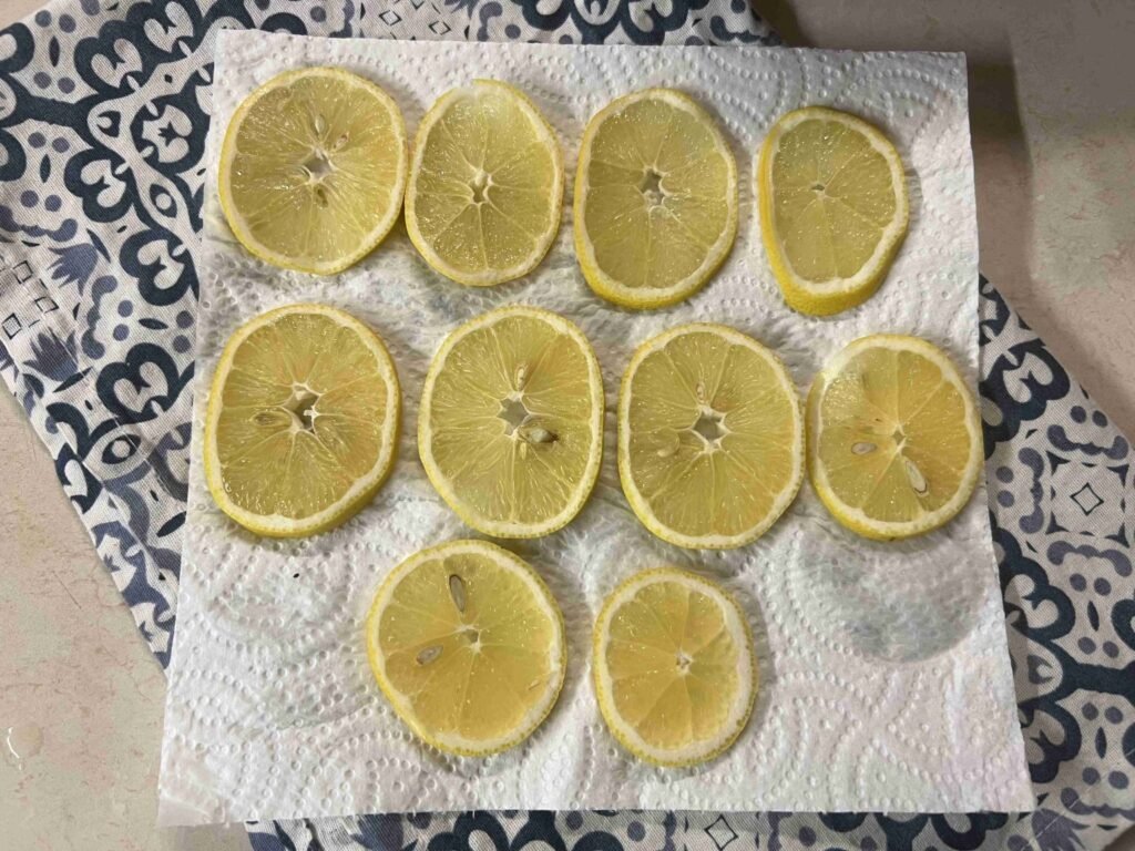 Rodajas de limón y naranja deshidratadas en freidora de aire - Mi ...